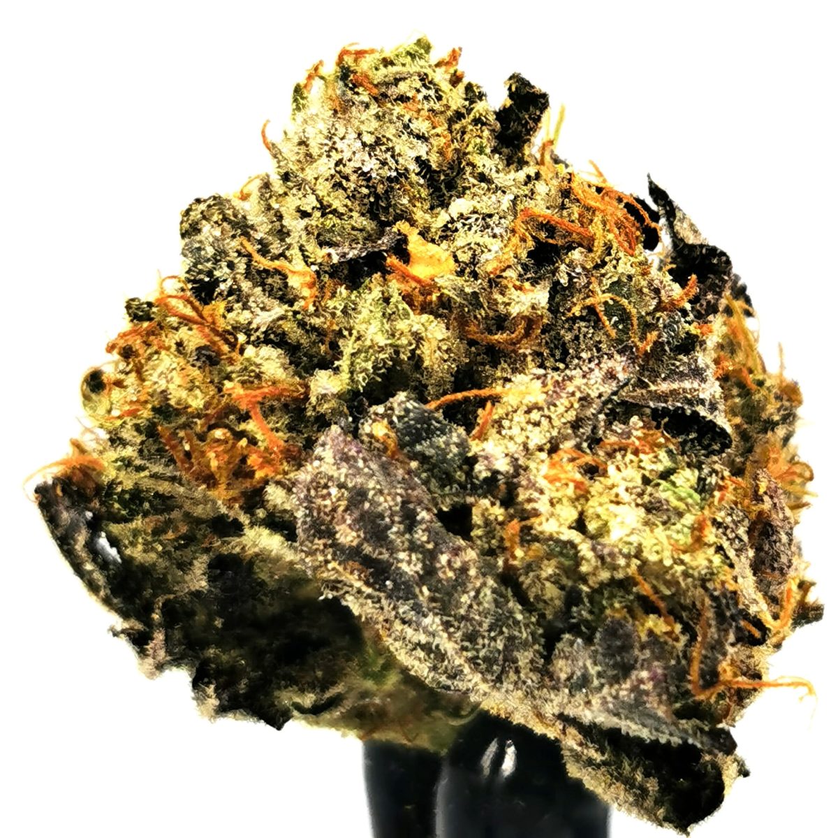 Indica – Herbal Life Express